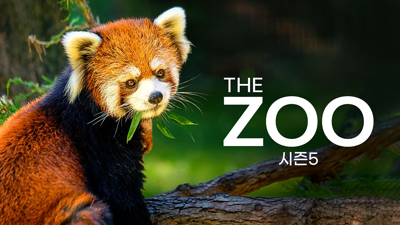 THE ZOO 시즌5 1화 | TVING