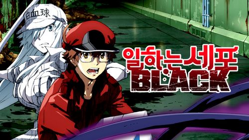 일하는 세포 BLACK 1화 | TVING