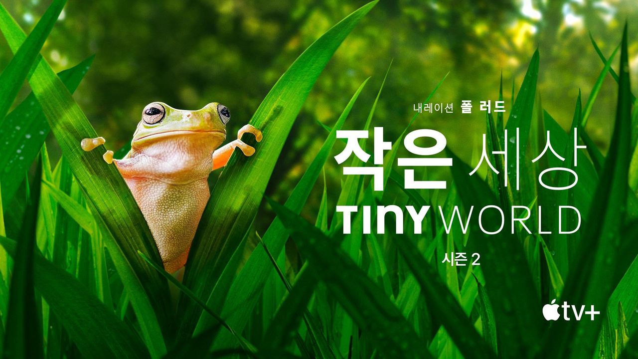 '작은 세상' - Tiny World 시즌2 1화 | TVING