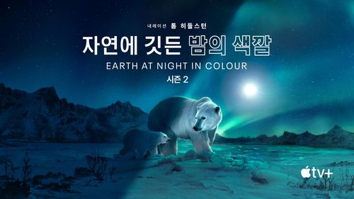 '자연에 깃든 밤의 색깔' - Earth at Night In Colour 시즌2 1화 | TVING