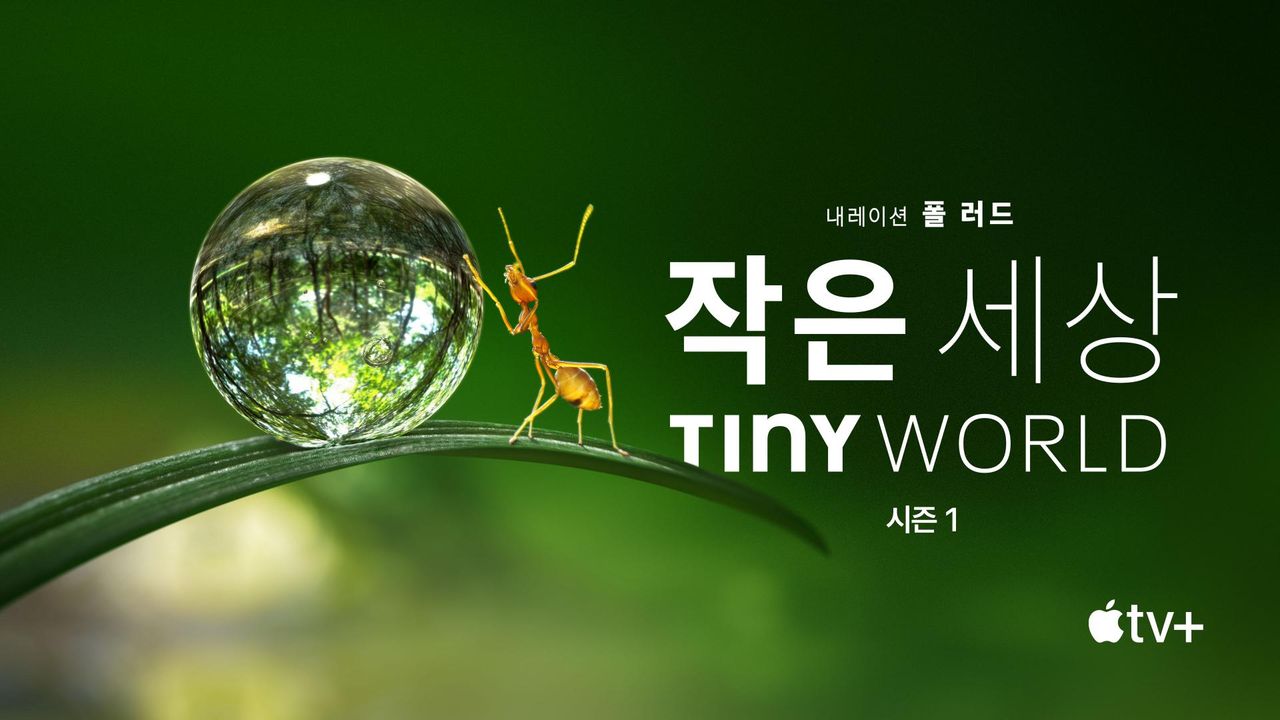 '작은 세상' - Tiny World 시즌1 1화 | TVING