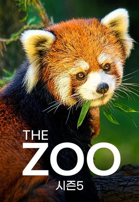 THE ZOO 시즌5 1화 | TVING