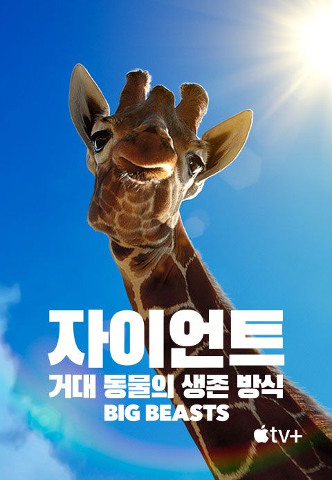 '자이언트: 거대 동물의 생존 방식’ - Big Beasts 시즌1 1화 | TVING