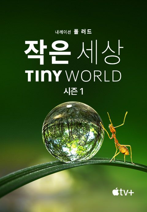 '작은 세상' - Tiny World 시즌1 1화 | TVING