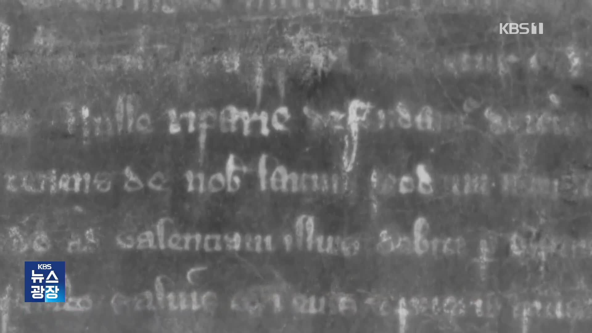 3만 원짜리 사본인줄…알고 보니 수백억 ‘마그나카르타’ 진품 [잇슈 SNS] | TVING