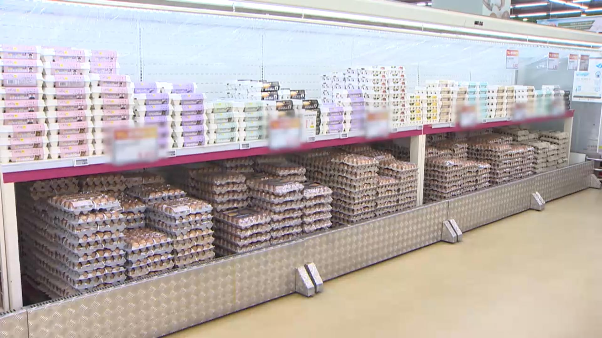 계란값 4년 만에 최고…"가격 강세 이어진다" | TVING