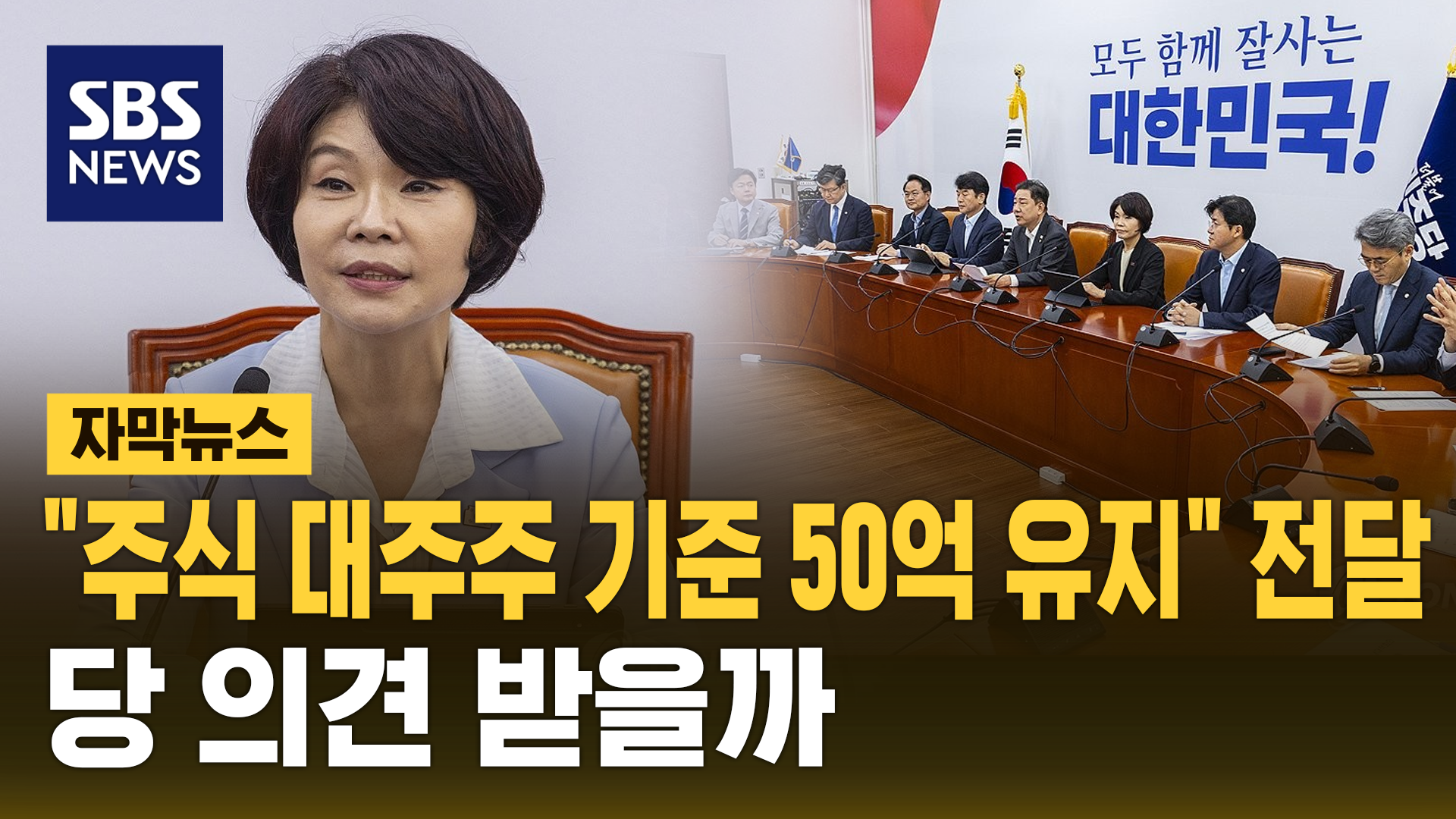 [자막뉴스] 민주당 "주식 양도세 대주주 기준 '50억 원 유지' 전달" | TVING