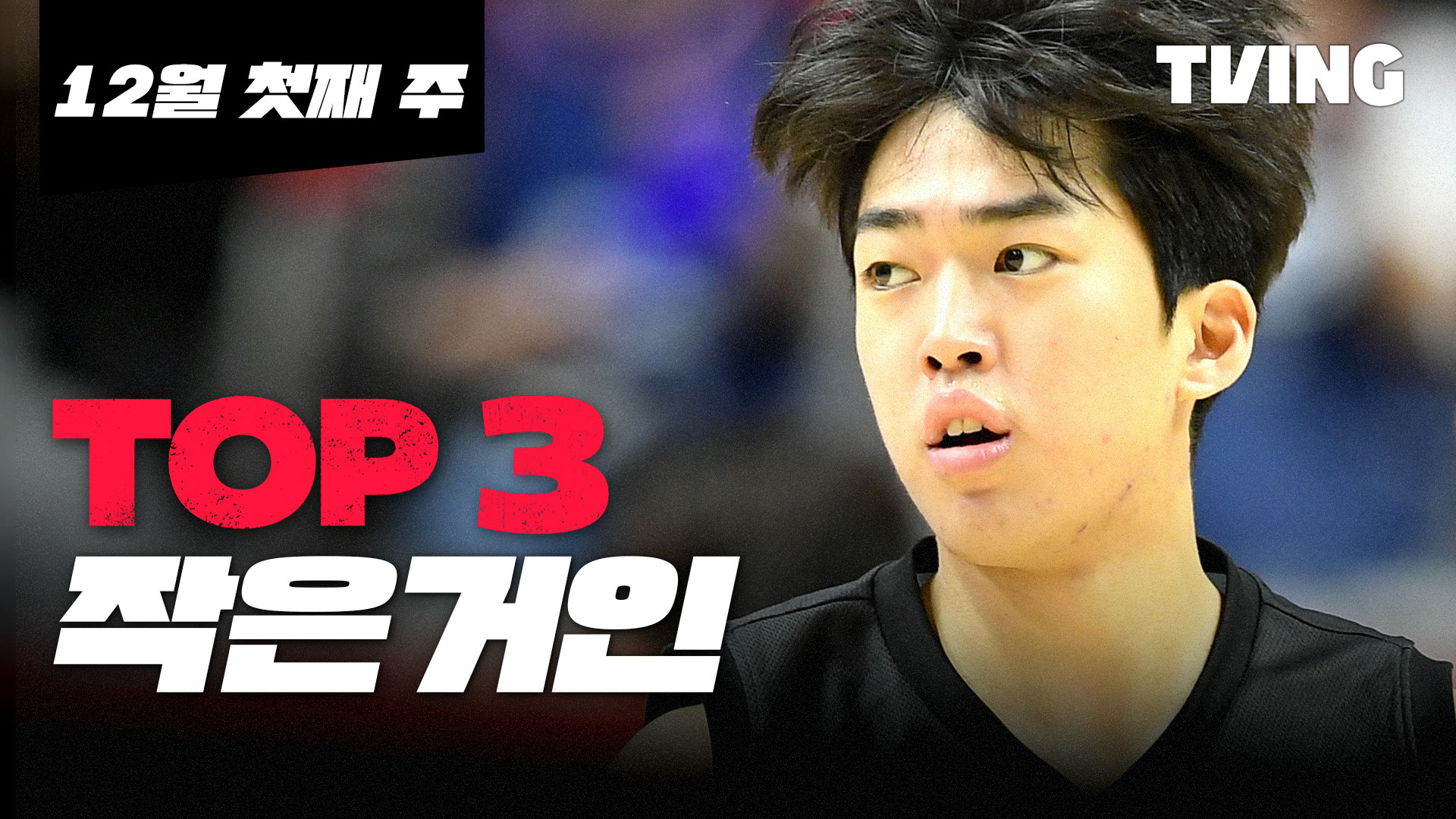 [위클리 TOP 모먼트][12월 1주] 작은 거인 TOP 3 | TVING