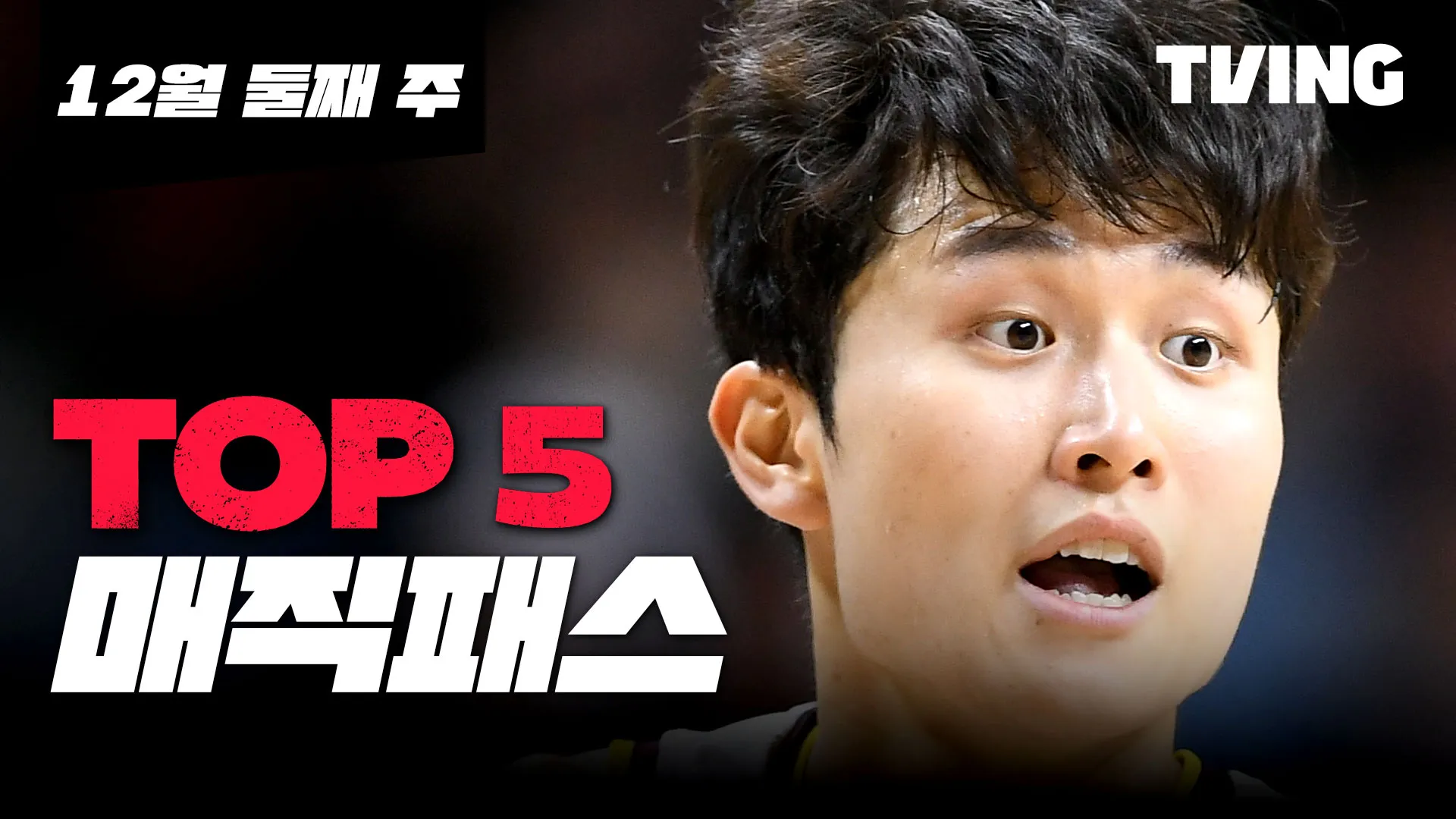 [위클리 TOP 모먼트][12월 2주] 매직패스 TOP 5 | TVING