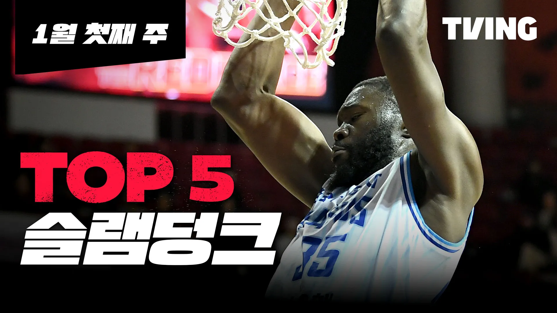 [위클리 TOP 모먼트][1월 1주] 슬램덩크 TOP 5 | TVING