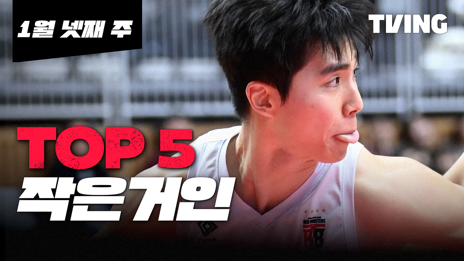 [위클리 TOP 모먼트][1월 4주] 작은 거인 TOP 5 | TVING