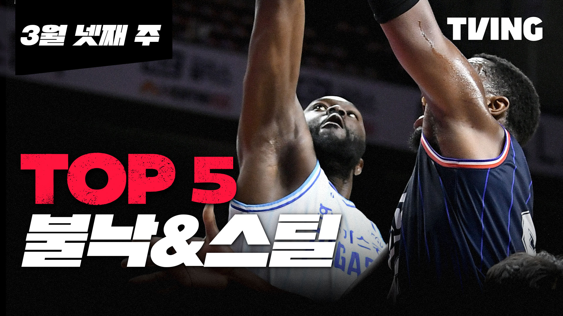 [위클리 TOP 모먼트][3월 4주] 불낙&스틸 TOP 5 | TVING