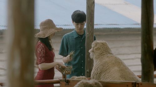 13 1 헌혈의 집 | TVING